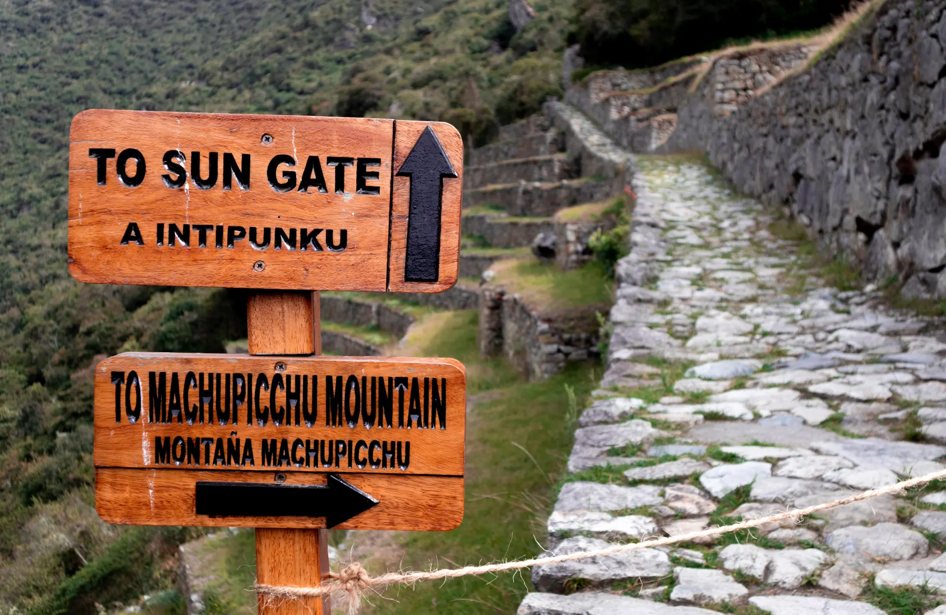 Camino Inca Perú 2025 | Viaje a Machu Picchu | Cusco Tu Destino Travel