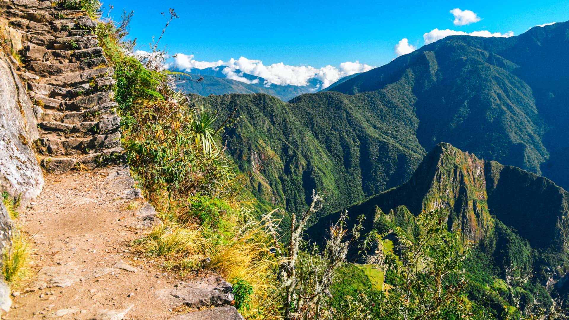 Orquídeas del Camino Inca: Belleza y Espiritualidad Sagrada | Viaje a ...